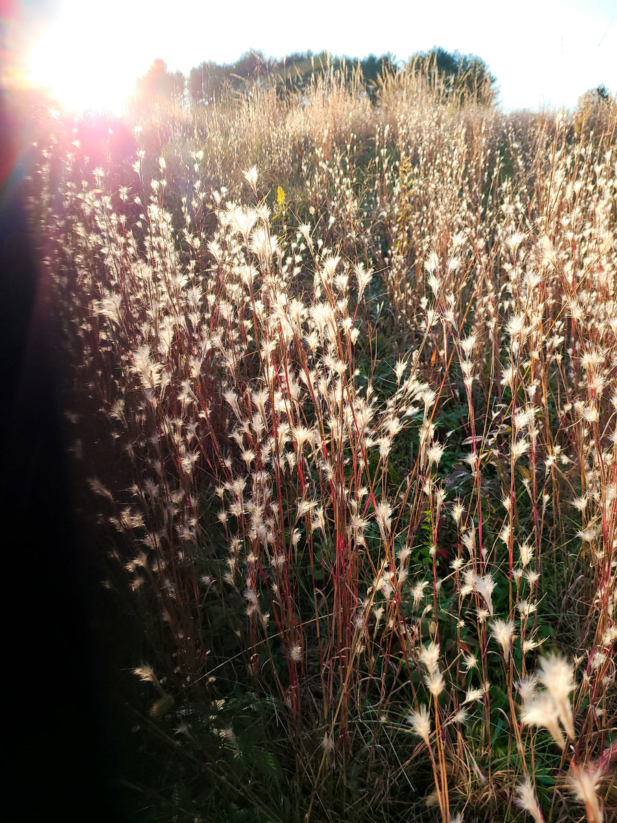 Oak Ridge church of Christ in Oak Ridge, Tennessee – Nomads You & I